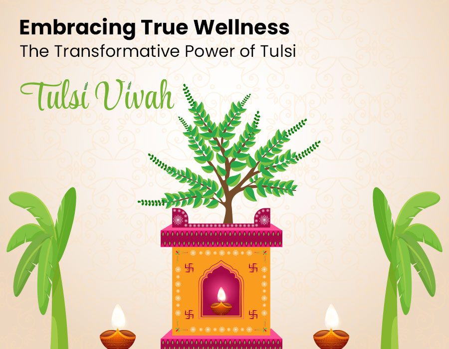 Embracing True Wellness: The Transformative Power of Tulsi – Organic India