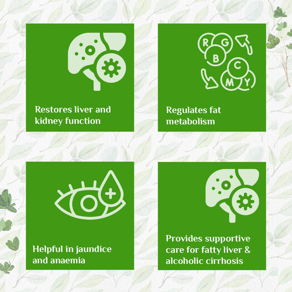 Liver-Kidney Care 60 Cap | Personal Care – Organic India