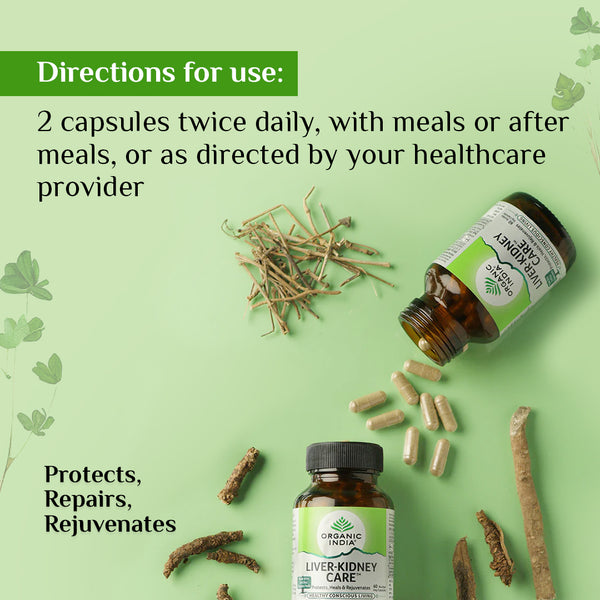 Liver-Kidney Care 60 Cap | Personal Care – Organic India