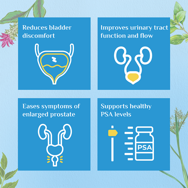 Prostate Care to Guard and Restore Prostate Health – Organic India